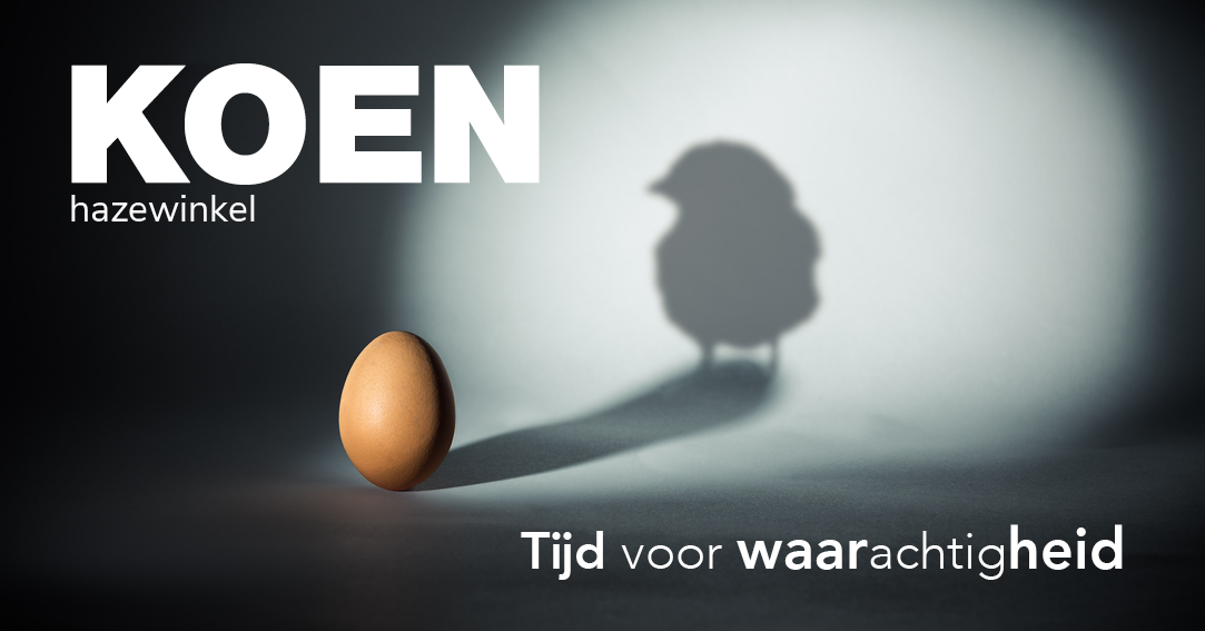 Koen Hazewinkel - Artikelen